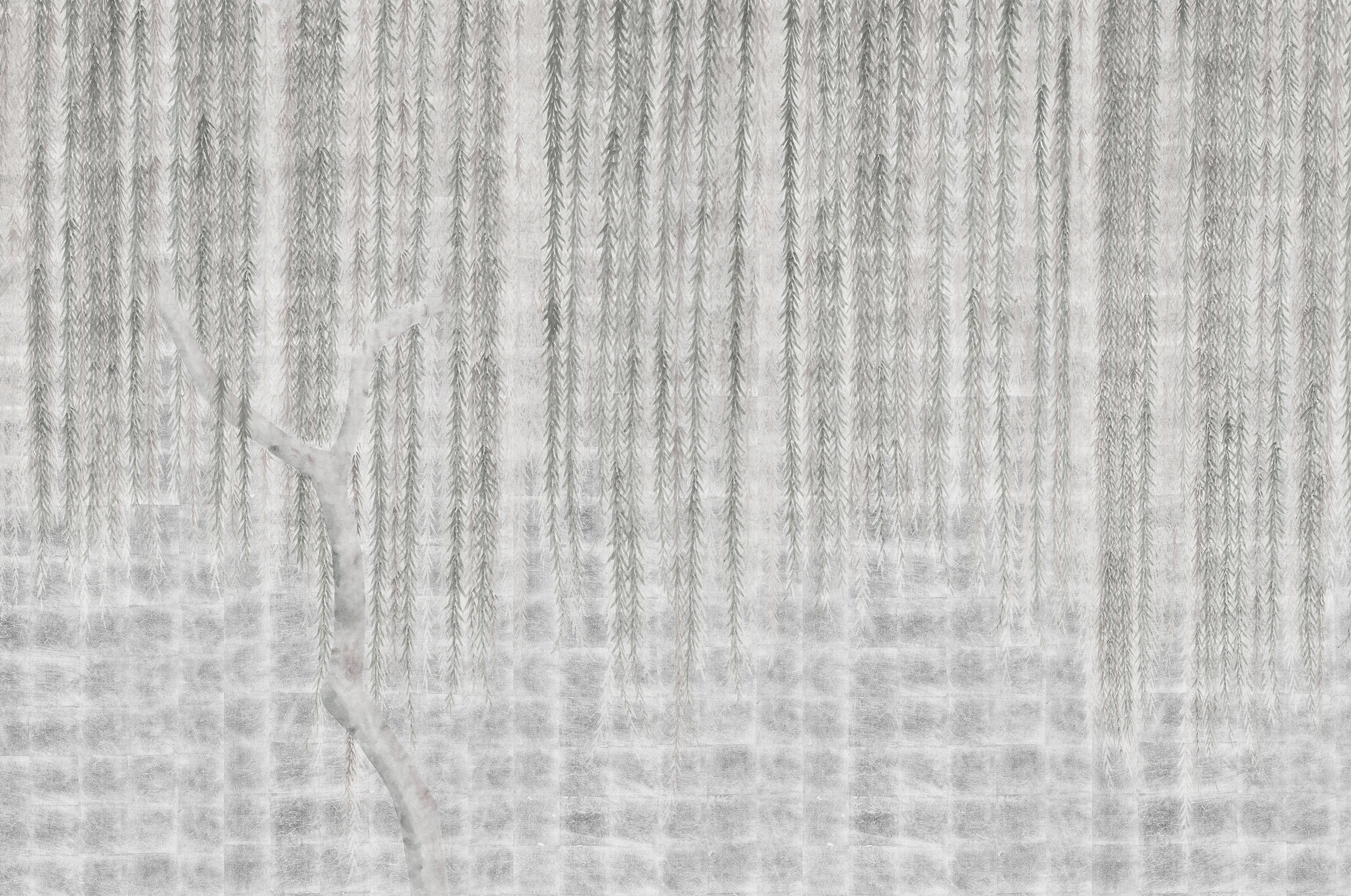 Willow – David Qian
